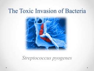 The Toxic Invasion of Streptococcus pyogenes | PPTX