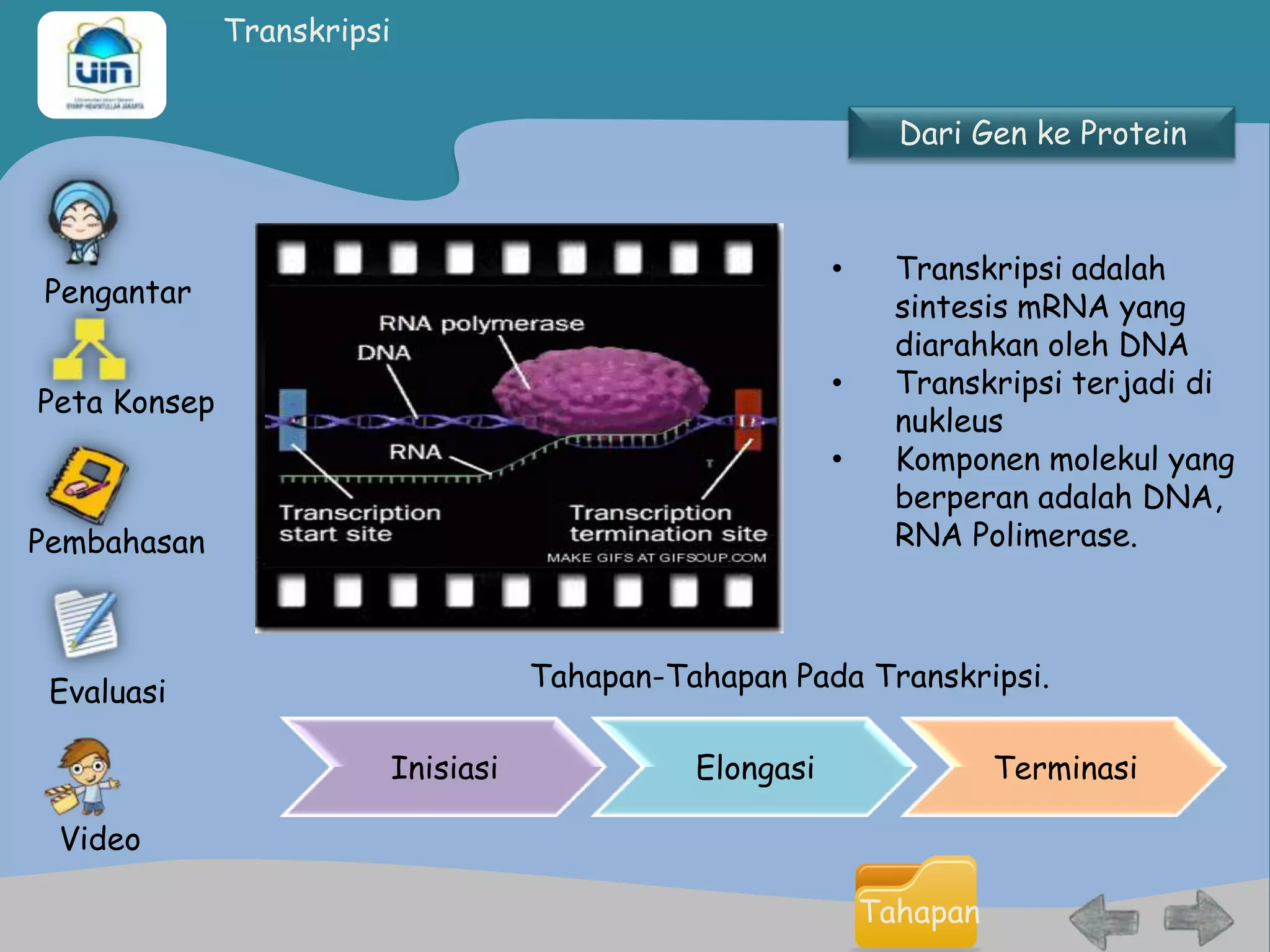 Sintesis Protein | PPSX
