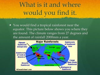 Tropical Rainforest | PPT