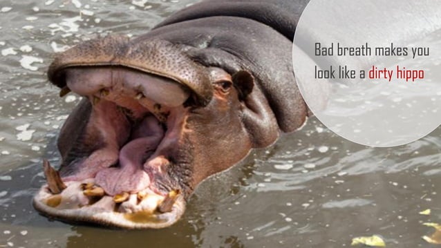 Magic tooth powder | PPT