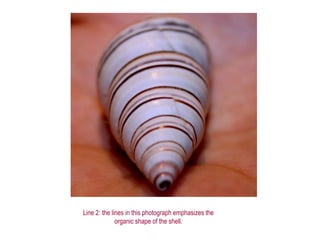 Formal elements | PPTX