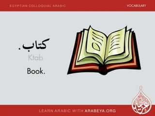Egyptian Colloquial Arabic Vocabulary | PPTX
