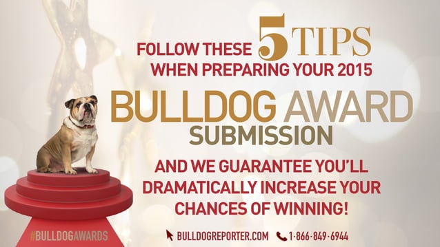 5 tips for winning a Bulldog Award!