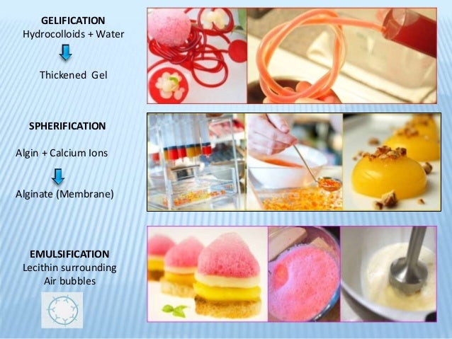 Molecular Gastronomy