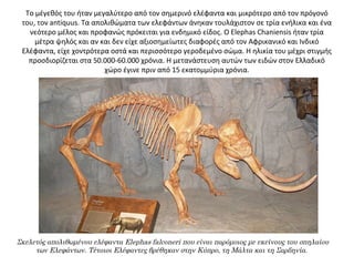 Σπήλαια - Παλαιοντολογία | PPT