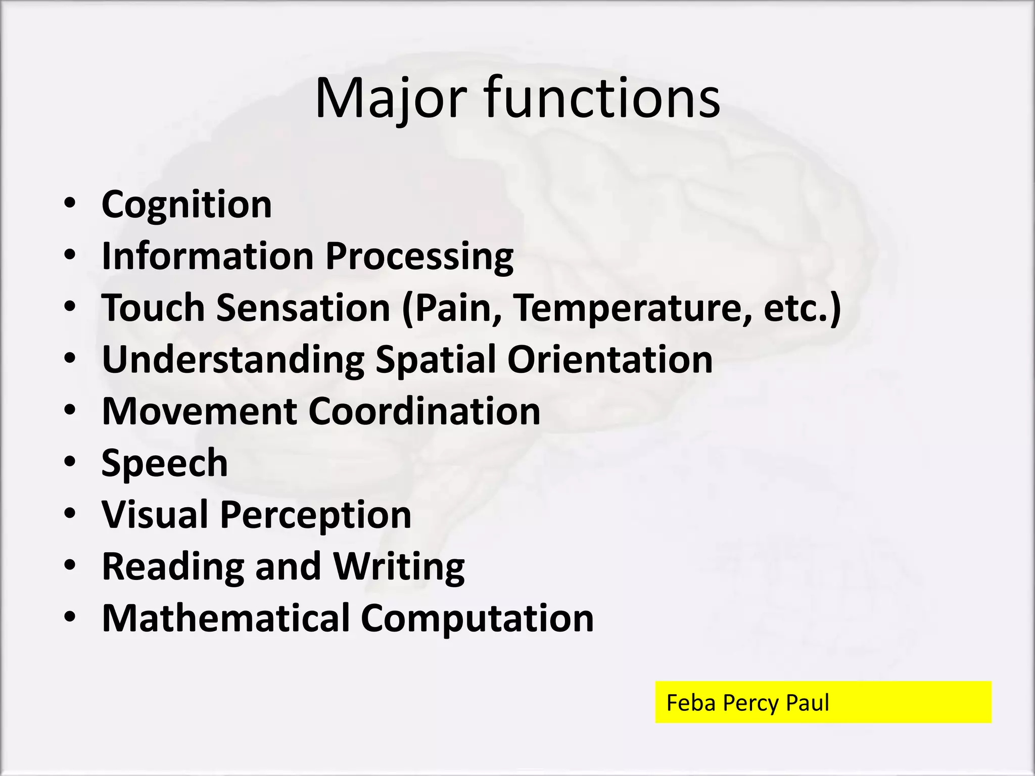 Functions of Parietal Lobe | PPTX