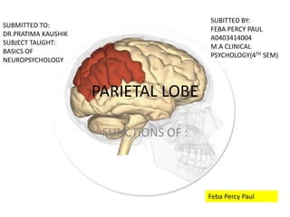 Functions of Parietal Lobe | PPTX