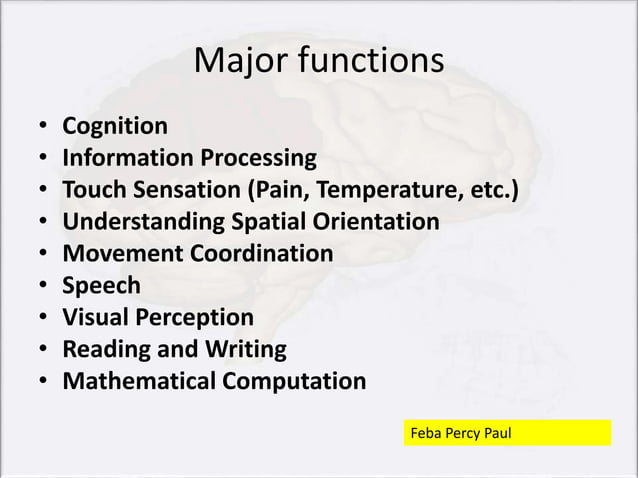 Functions of Parietal Lobe | PPTX