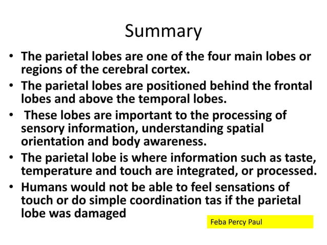 Functions of Parietal Lobe | PPTX