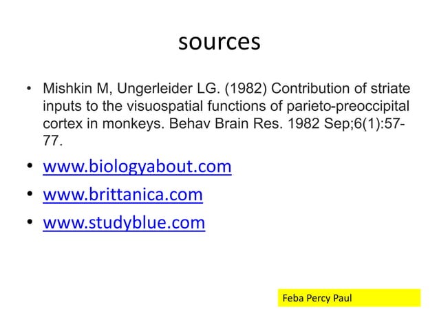 Functions of Parietal Lobe | PPTX