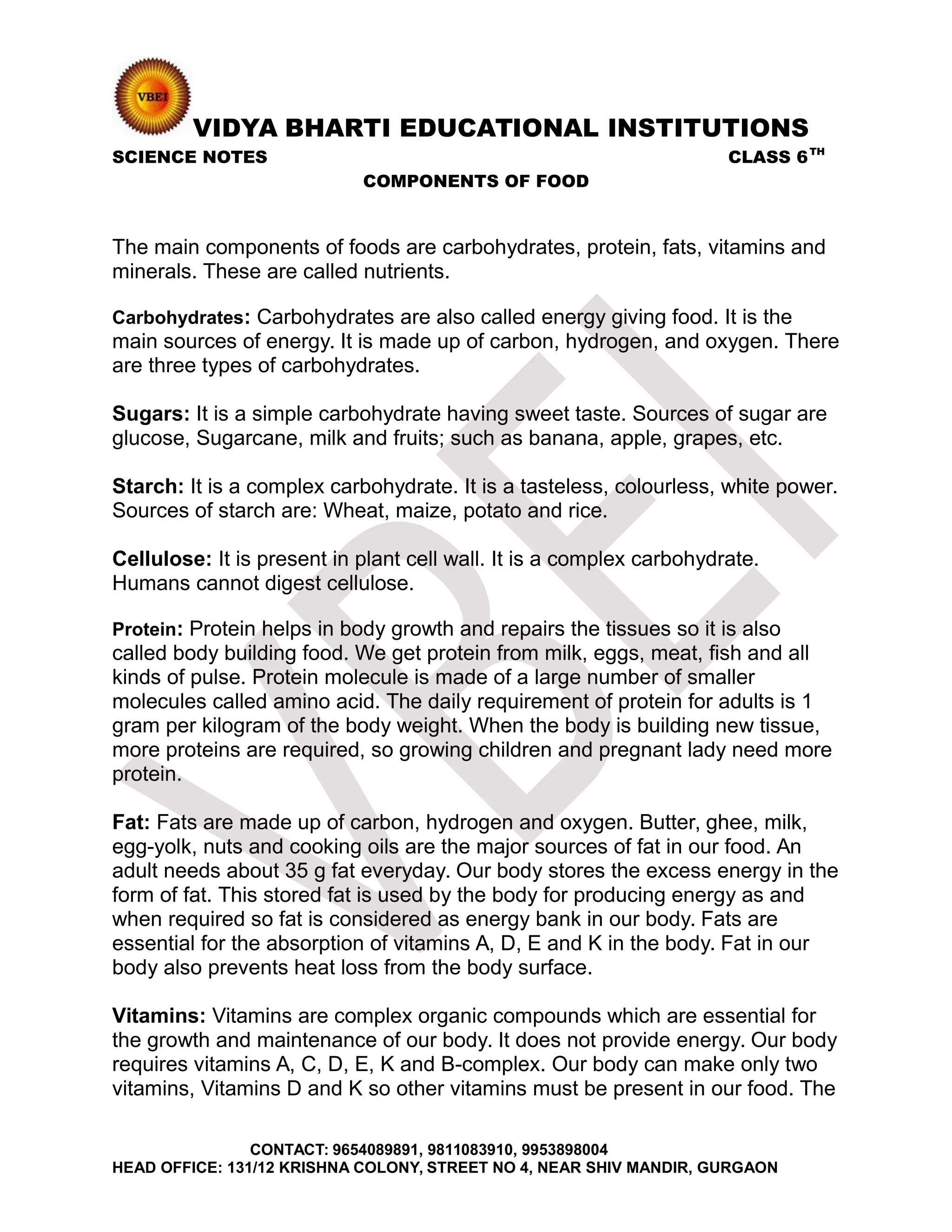 Components of Food | PDF