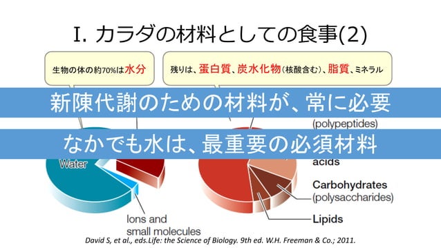 「NST看護師勉強会」食事、低栄養、栄養評価について | PDF | Digestive Disorders | Diseases and ...