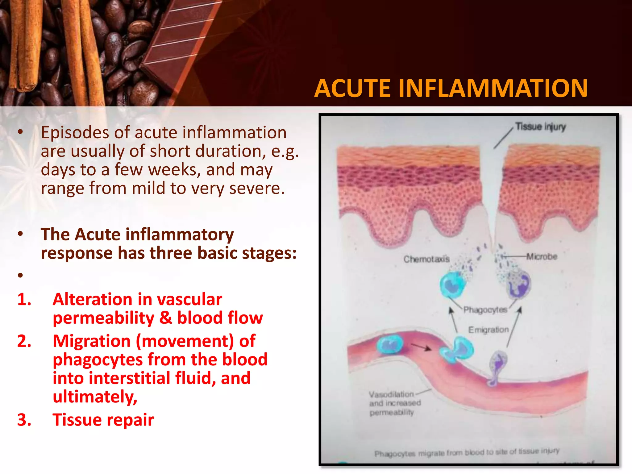 Inflammation & Repair | PPTX