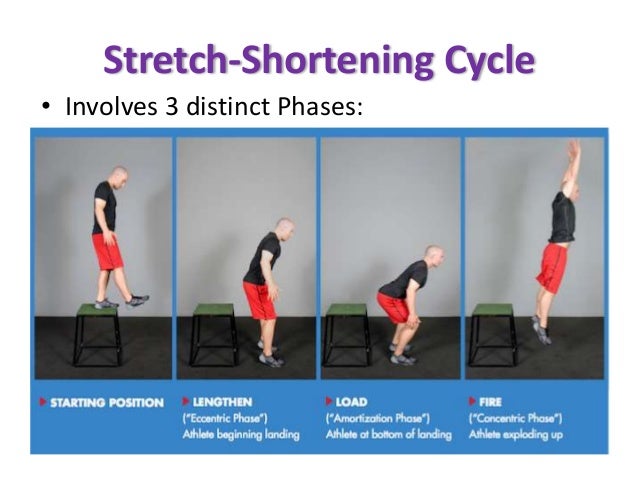 Plyometrics Description IntroductionTypes Prerequisites