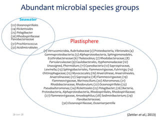 PLASTISPHERE: A MENACE TO THE AQUATIC ENVIRONMENT | PPTX | Biological ...