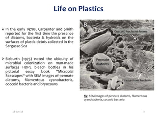 PLASTISPHERE: A MENACE TO THE AQUATIC ENVIRONMENT | PPTX