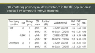 QTL mapping | PPTX