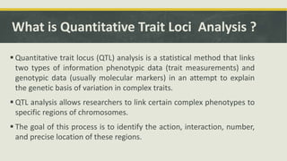 QTL mapping | PPTX