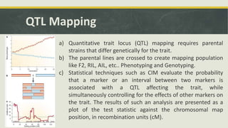 QTL mapping | PPTX