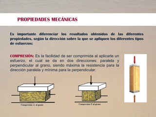 Propiedades mecánicas de la madera | PDF
