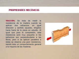 Propiedades mecánicas de la madera | PDF