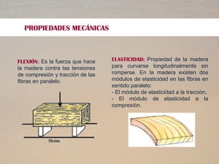 Propiedades mecánicas de la madera | PDF