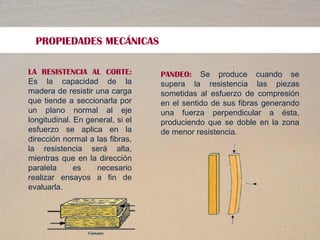 Propiedades mecánicas de la madera | PDF