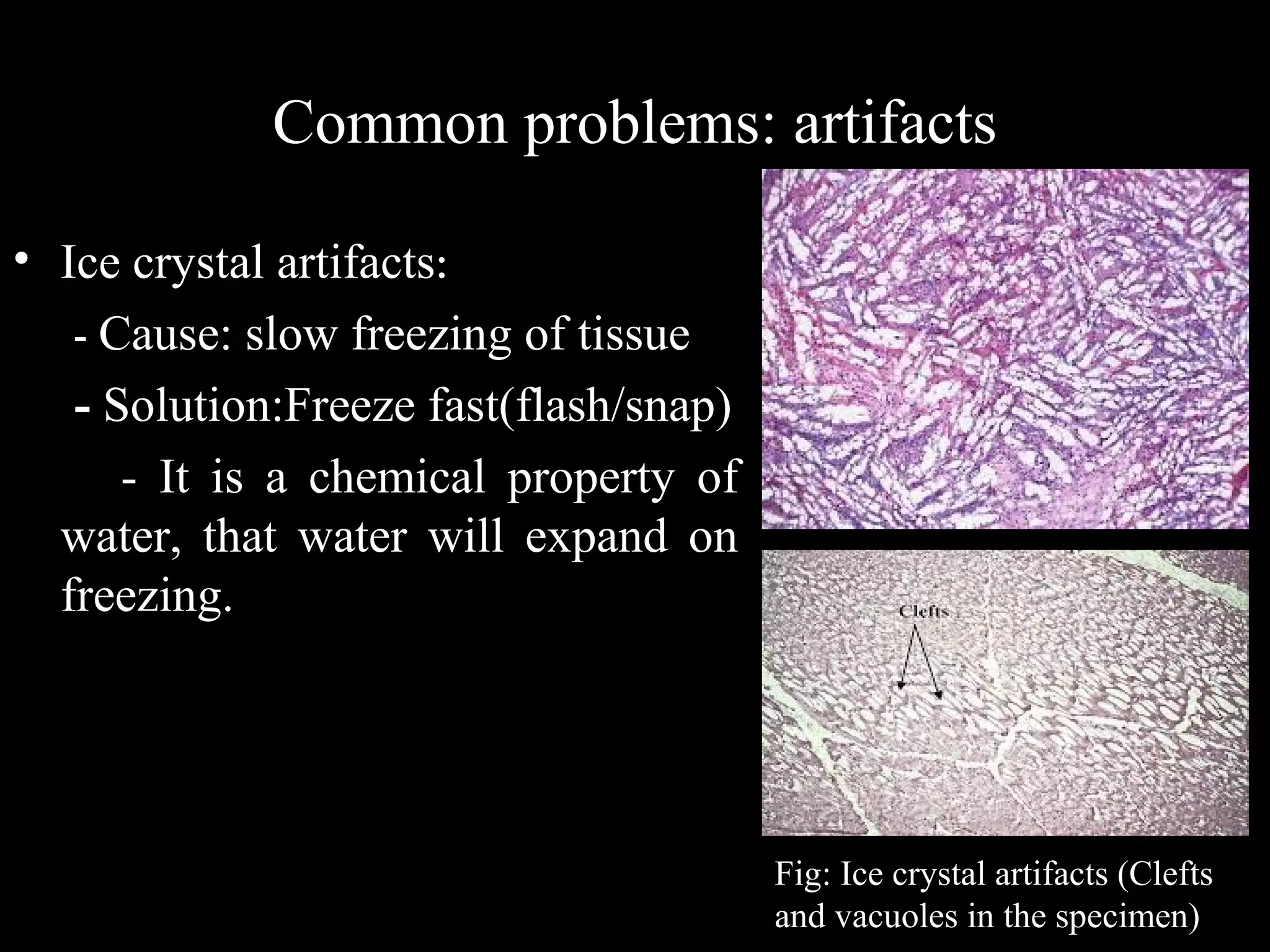 Frozen Section Basics | PPT | Chemistry | Science