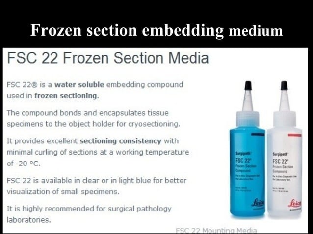 Frozen Section Basics | PPT