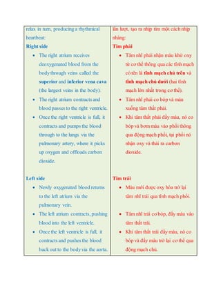 Giải phẫu cơ bản tim (song ngữ) | DOCX
