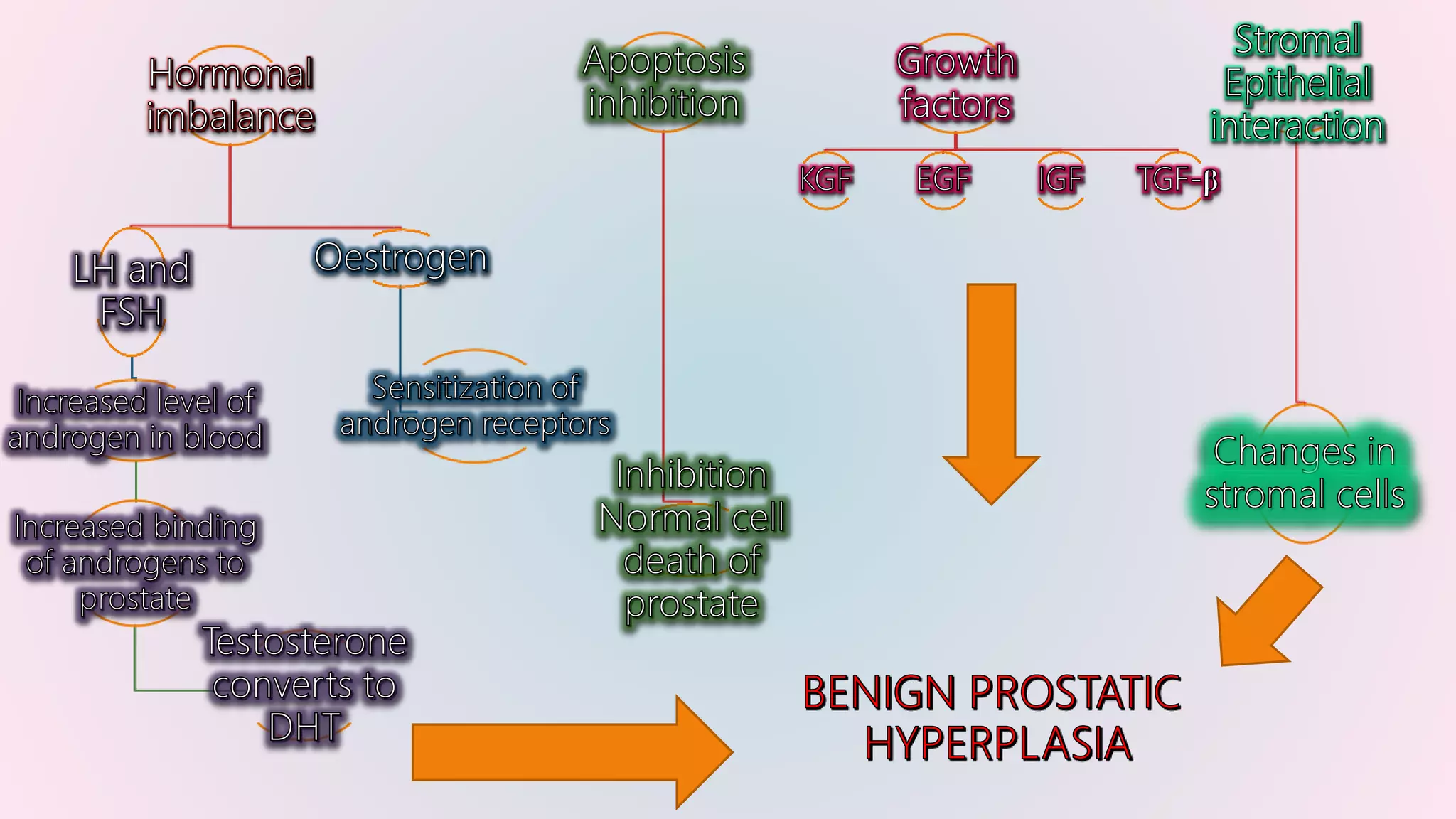 Benign Prostatic Hyperplasia | PPT
