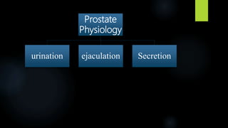Benign Prostatic Hyperplasia | PPT