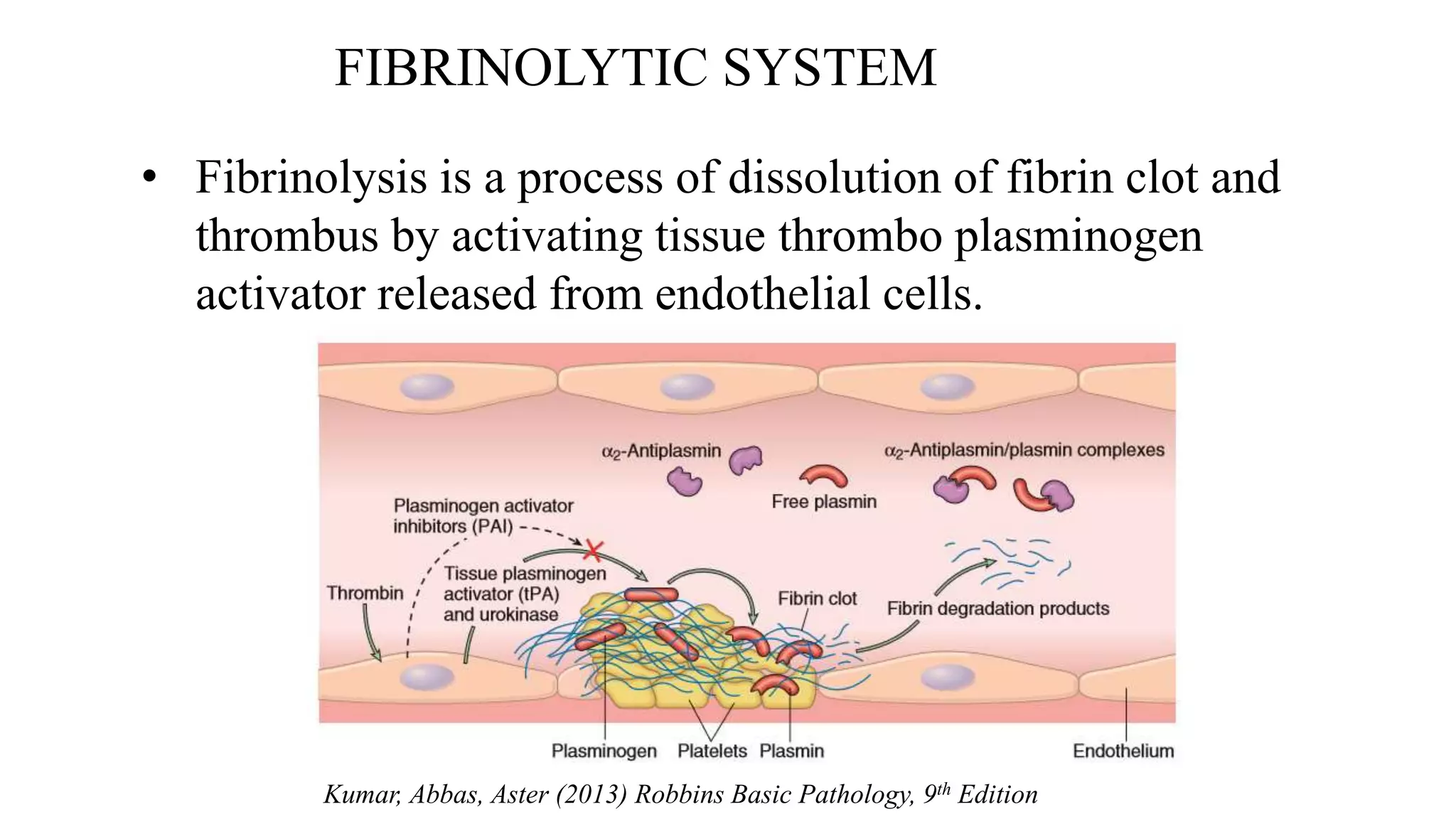 BLEEDING AND CLOTTING DISORDERS | PPTX