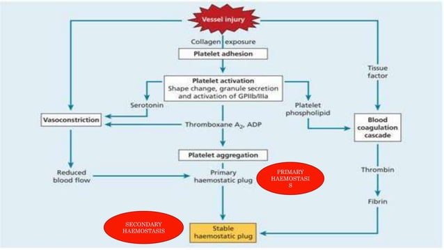 BLEEDING AND CLOTTING DISORDERS | PPTX