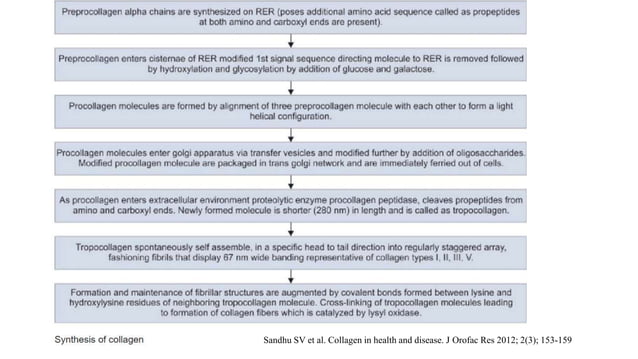 BLEEDING AND CLOTTING DISORDERS | PPT