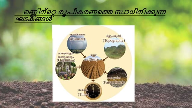 Slideshare about soil and features of soil | PPTX