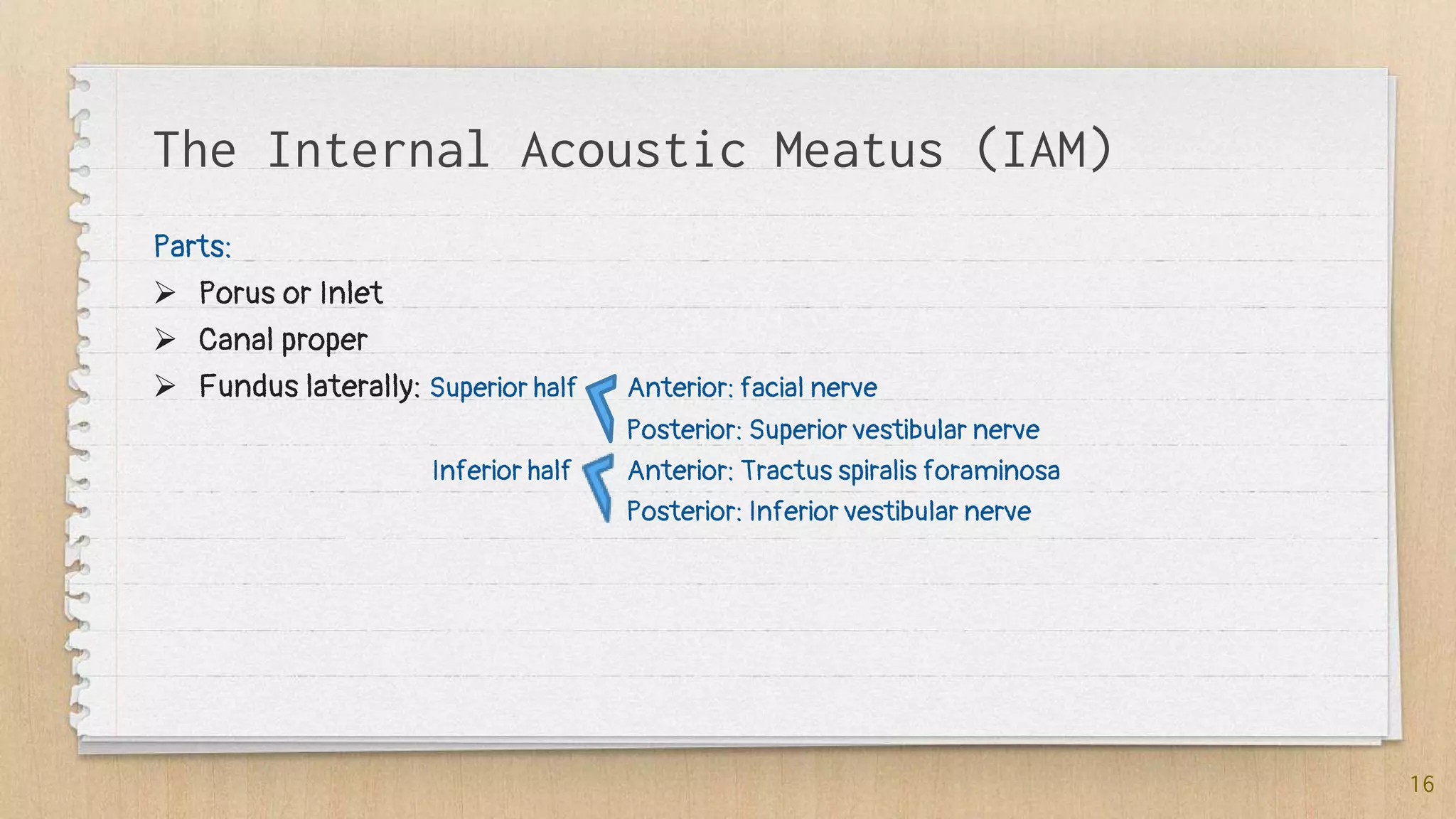 Vestibular schwannoma (acoustic neuroma) surgical anatomy and ...