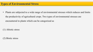 Environmental Stress | PPTX