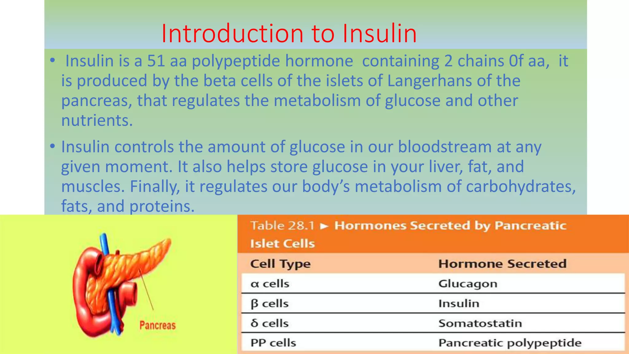 INSULIN | PPTX