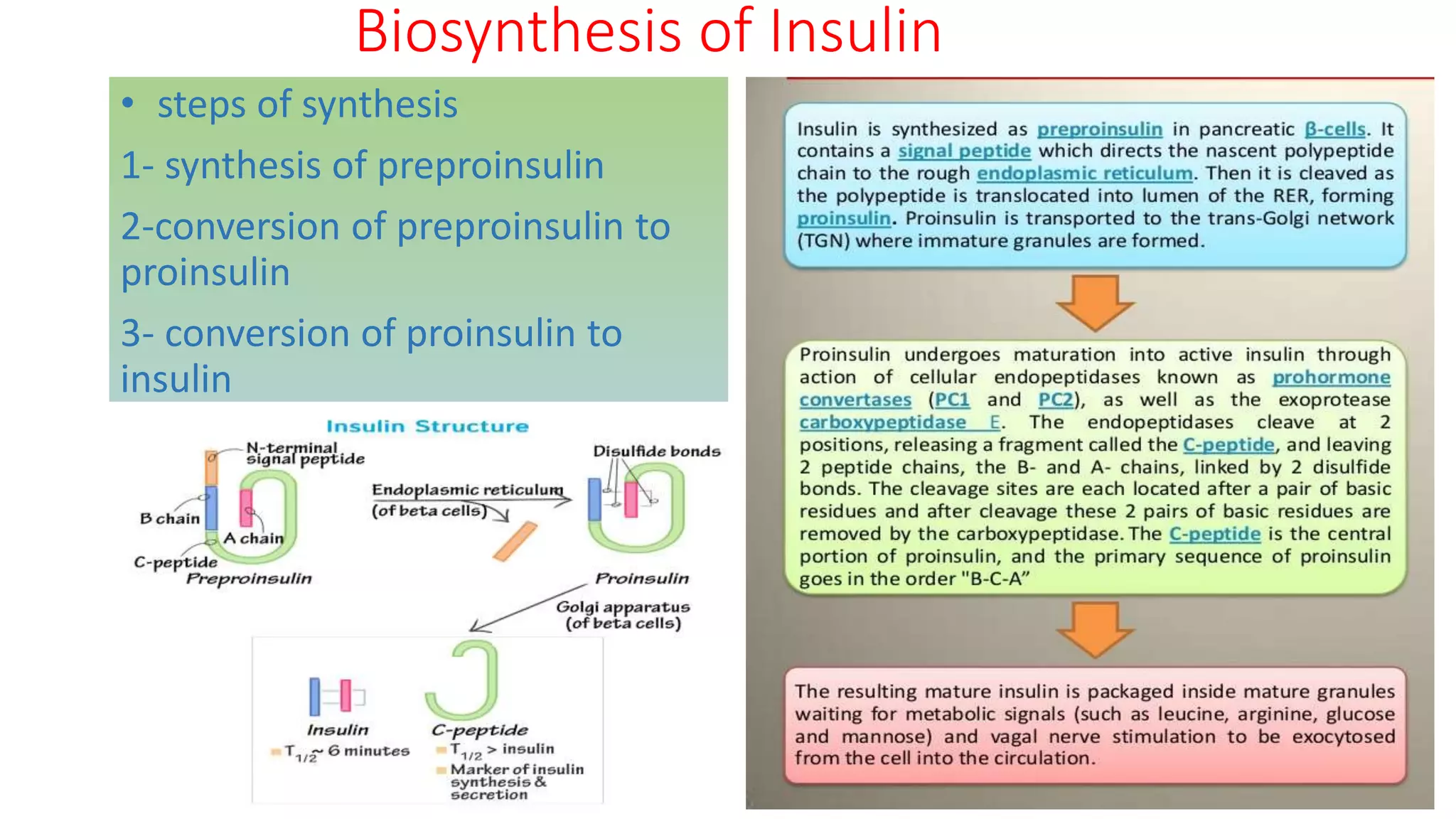 INSULIN | PPTX