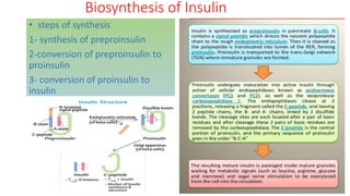 INSULIN | PPTX