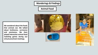 An Animal Inquiry Pre-K | PPTX