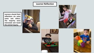 An Animal Inquiry Pre-K | PPTX