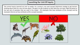 An Animal Inquiry Pre-K | PPTX