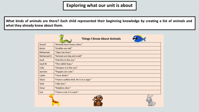 An Animal Inquiry Pre-K | PPT