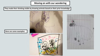 An Animal Inquiry Pre-K | PPTX
