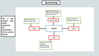 An Animal Inquiry Pre-K | PPTX