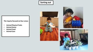 An Animal Inquiry Pre-K | PPTX