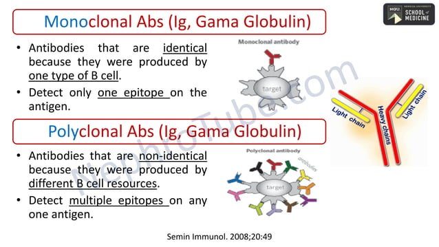 Dysproteinemias Related Renal Disorders, Monoclonal Gammopathy ...