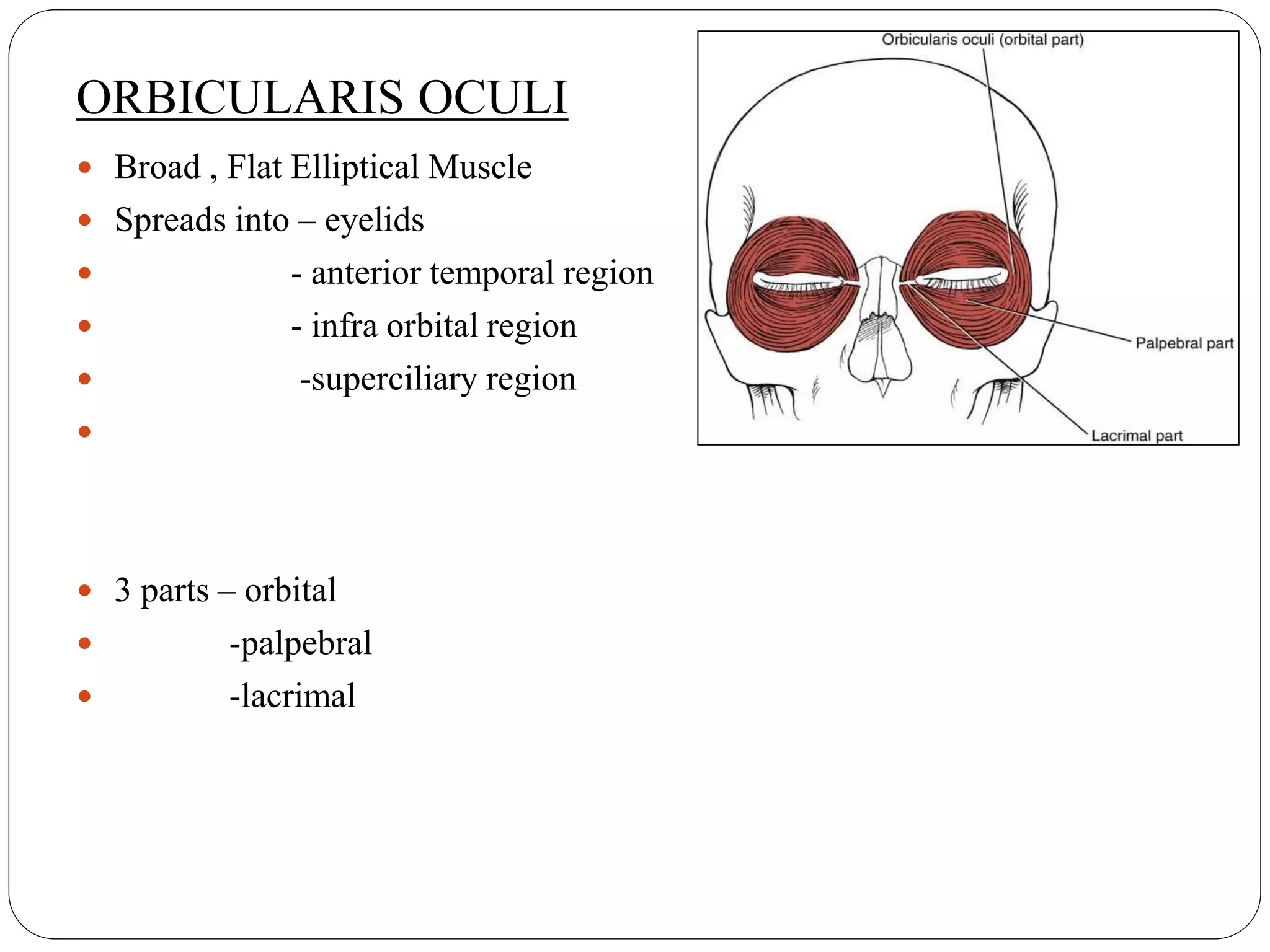 MUSCLES OF FACIAL EXPRESSION | PPTX